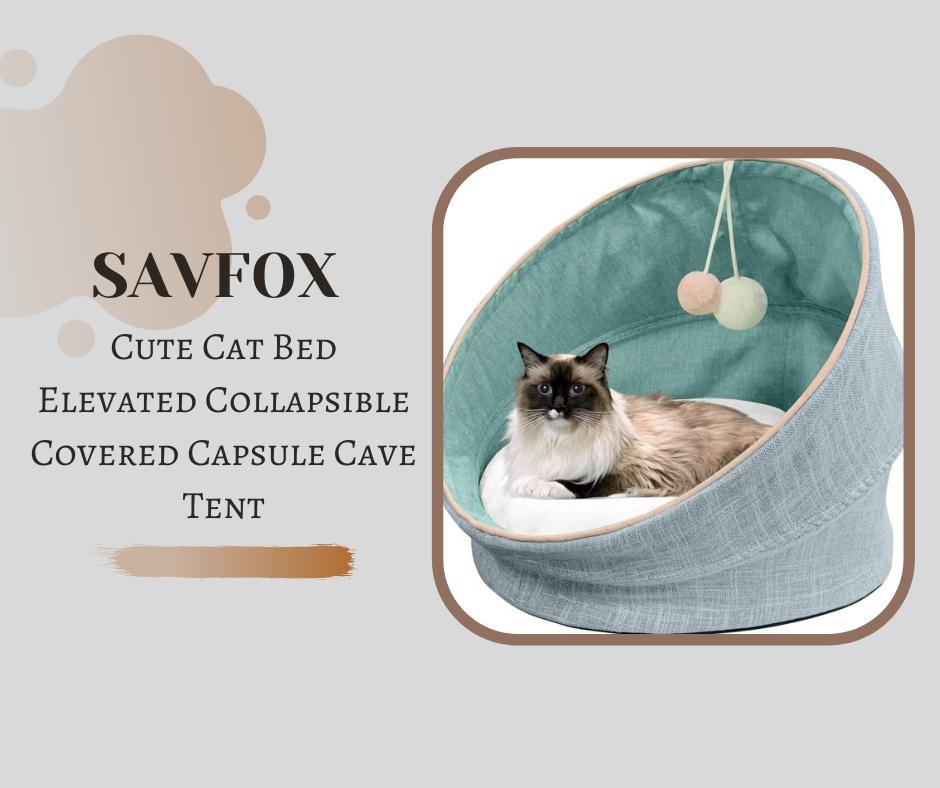 02 – SAVFOX
